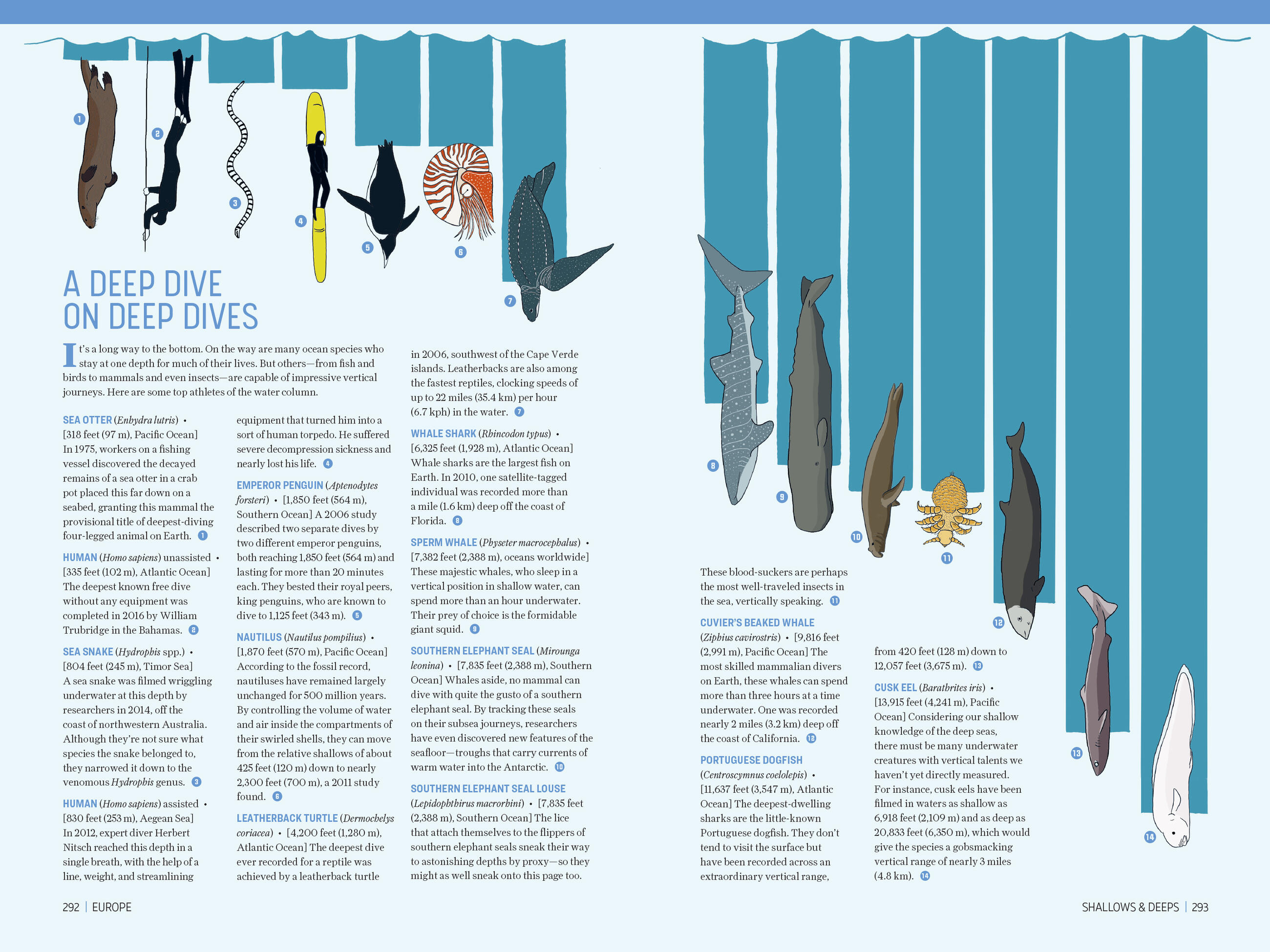 Atlas Obscura: Wild Life by Cara Giaimo | Hachette Book Group