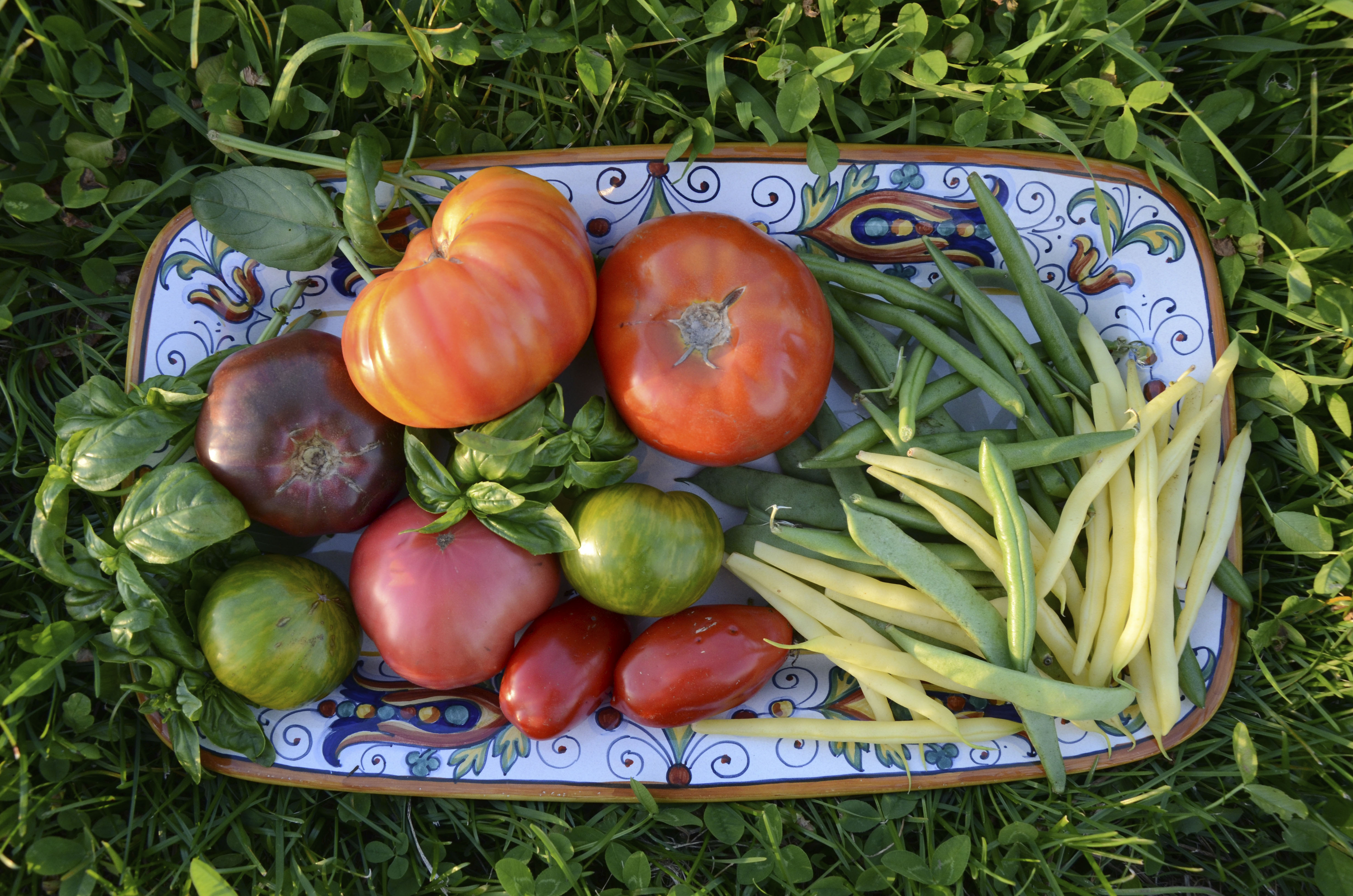 New Book from Barbara Damrosch: A Life in the Garden | Hachette Book Group