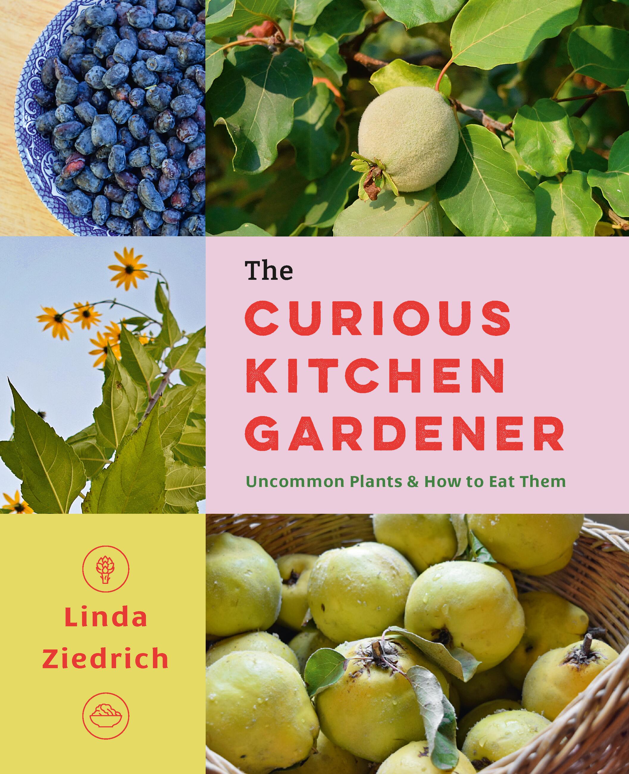 Timber Press – Books – Gardening | Hachette Book Group