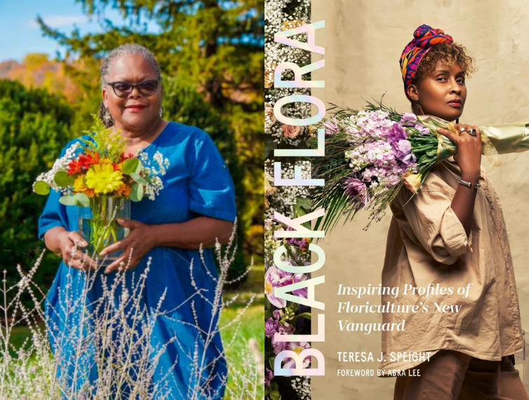 Get to Know Teresa J. Speight | Hachette Book Group