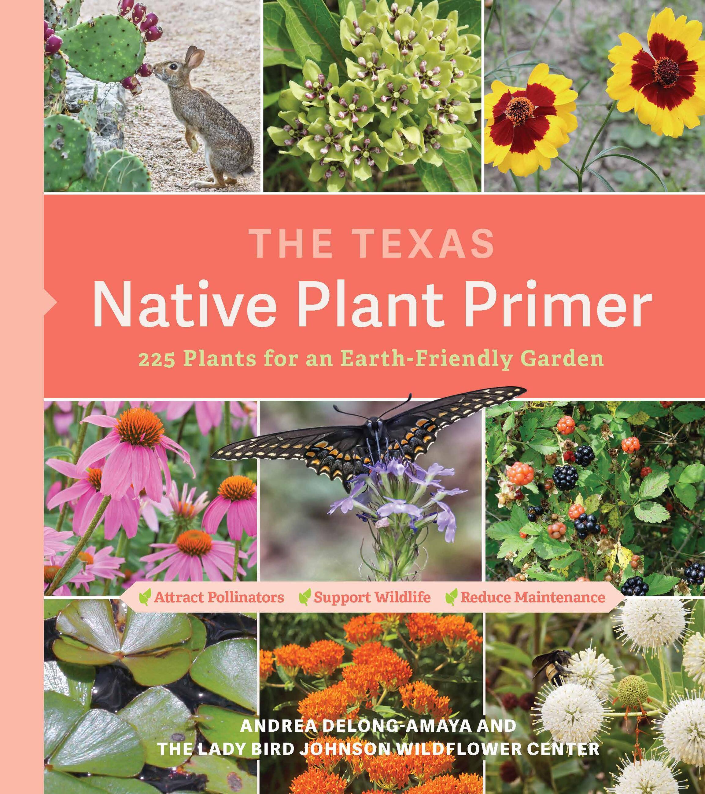 New & Popular Nonfiction Books | Hachette Book Group