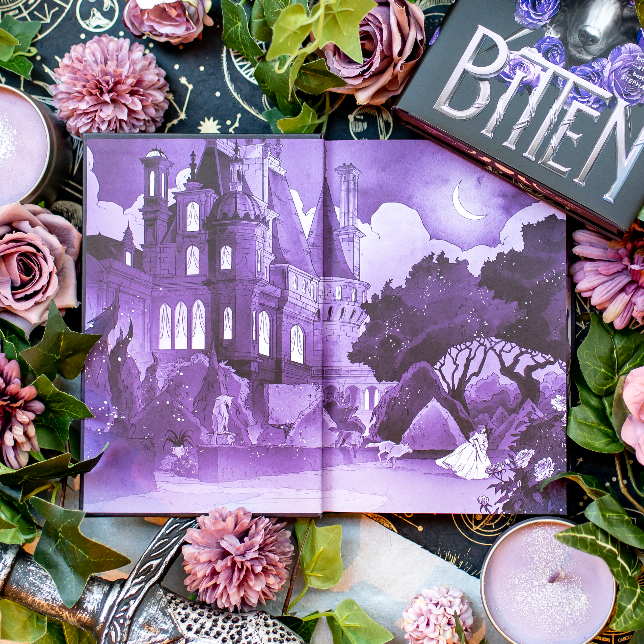 Bitten by Jordan Stephanie Gray | Hachette Book Group