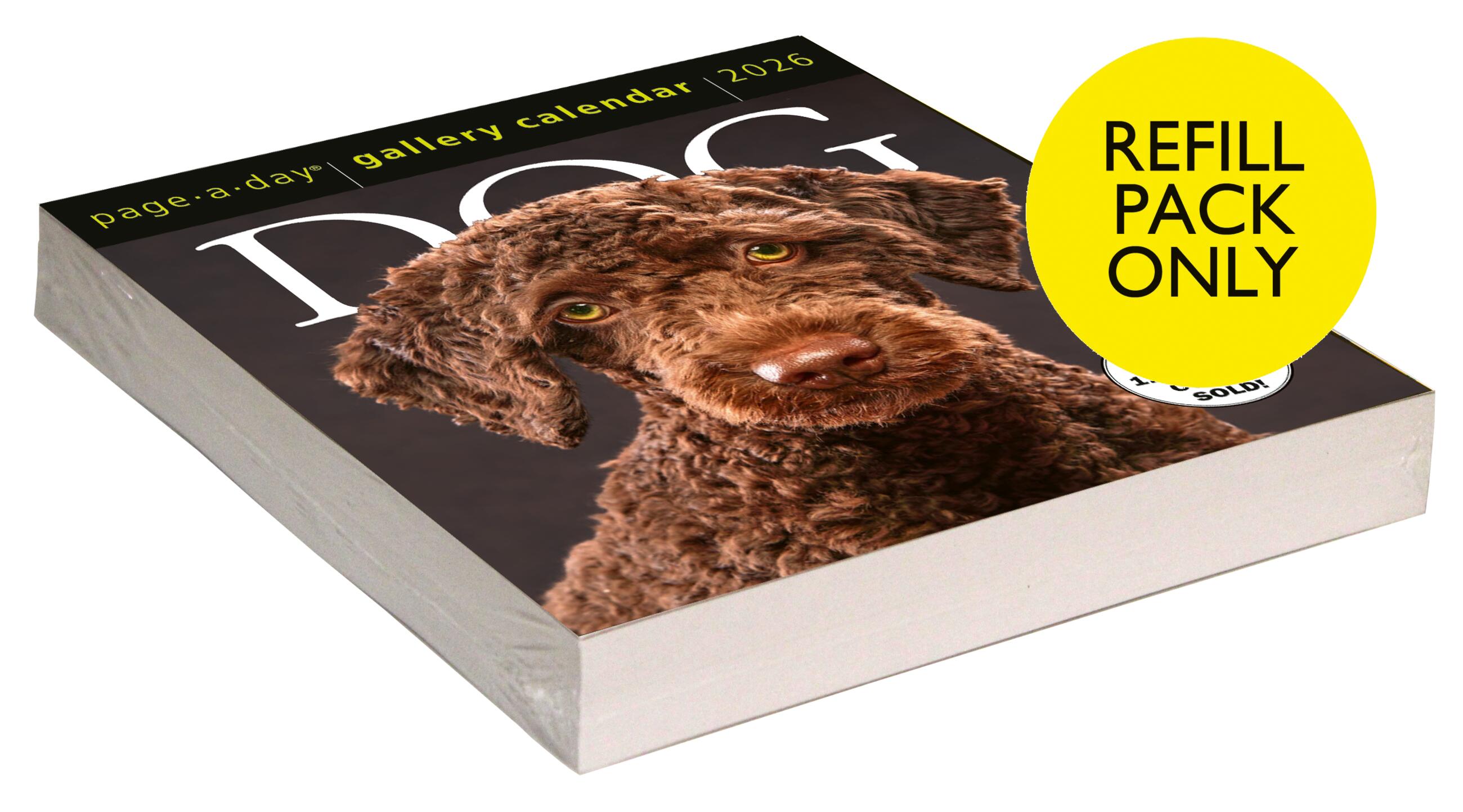 Workman Calendars | Hachette Book Group