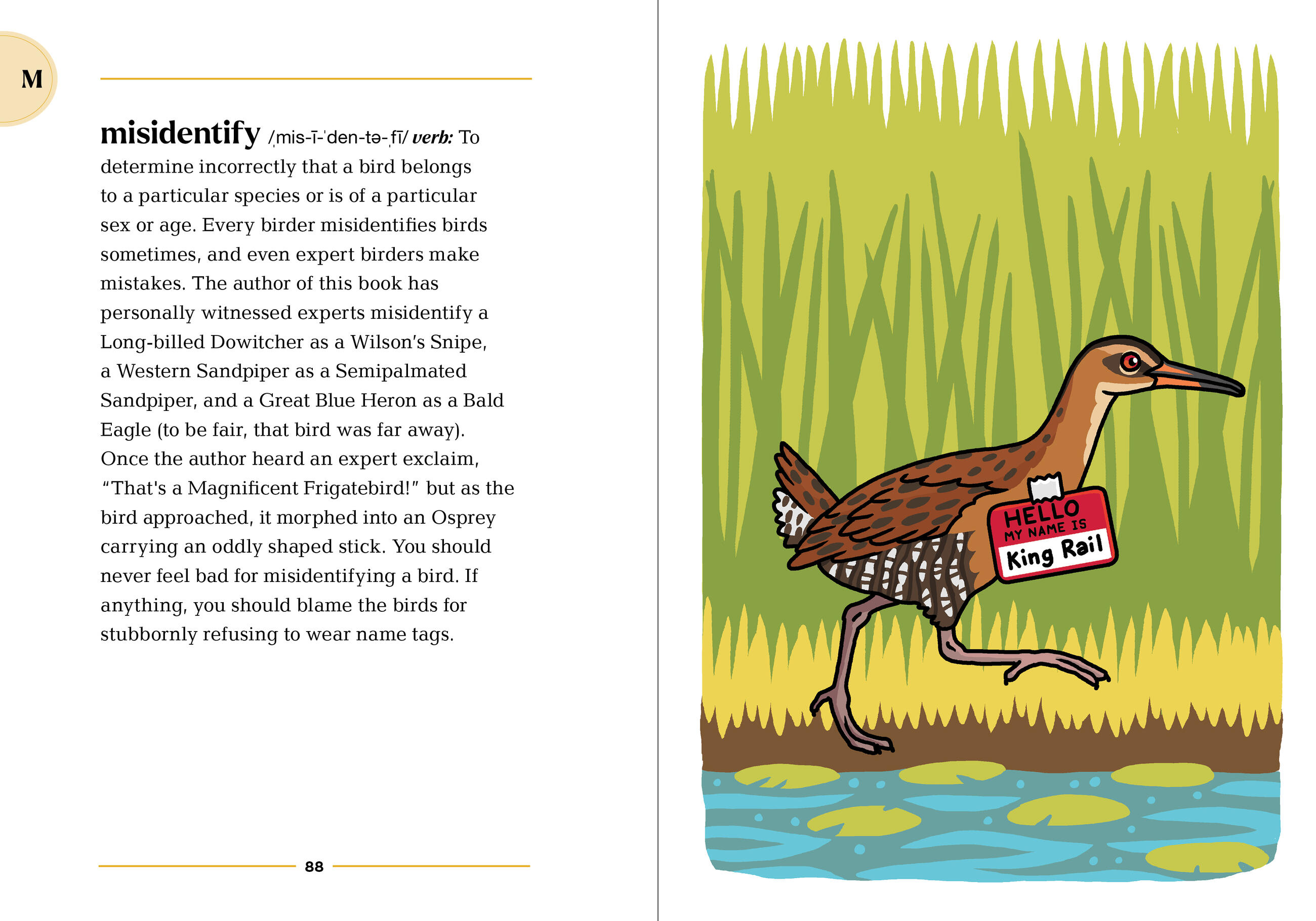 The Birding Dictionary by Rosemary Mosco | Hachette Book Group