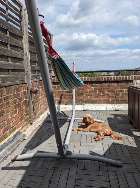 Open Book Interview: Alice Franklin | Hachette Book Group