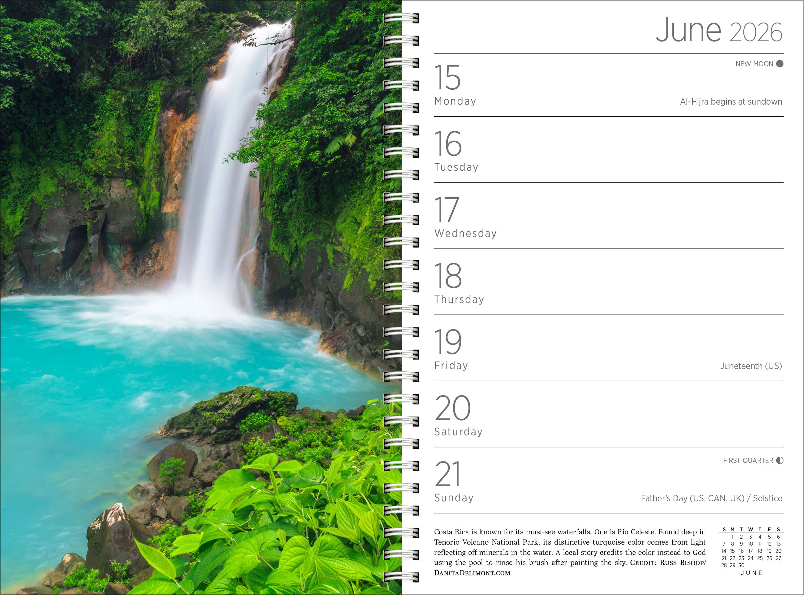 Audubon Engagement Calendar 2026 by Workman Calendars | Hachette Book Group