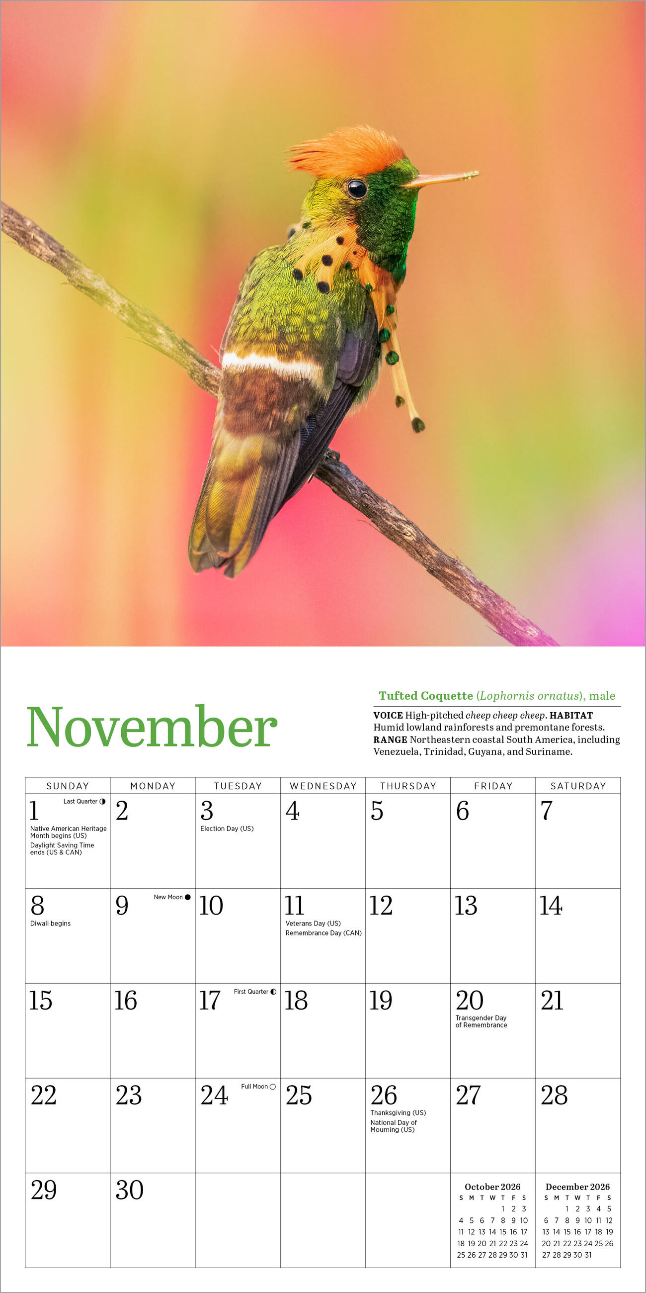 Audubon Hummingbirds Mini Wall Calendar 2026 by Workman Calendars ...