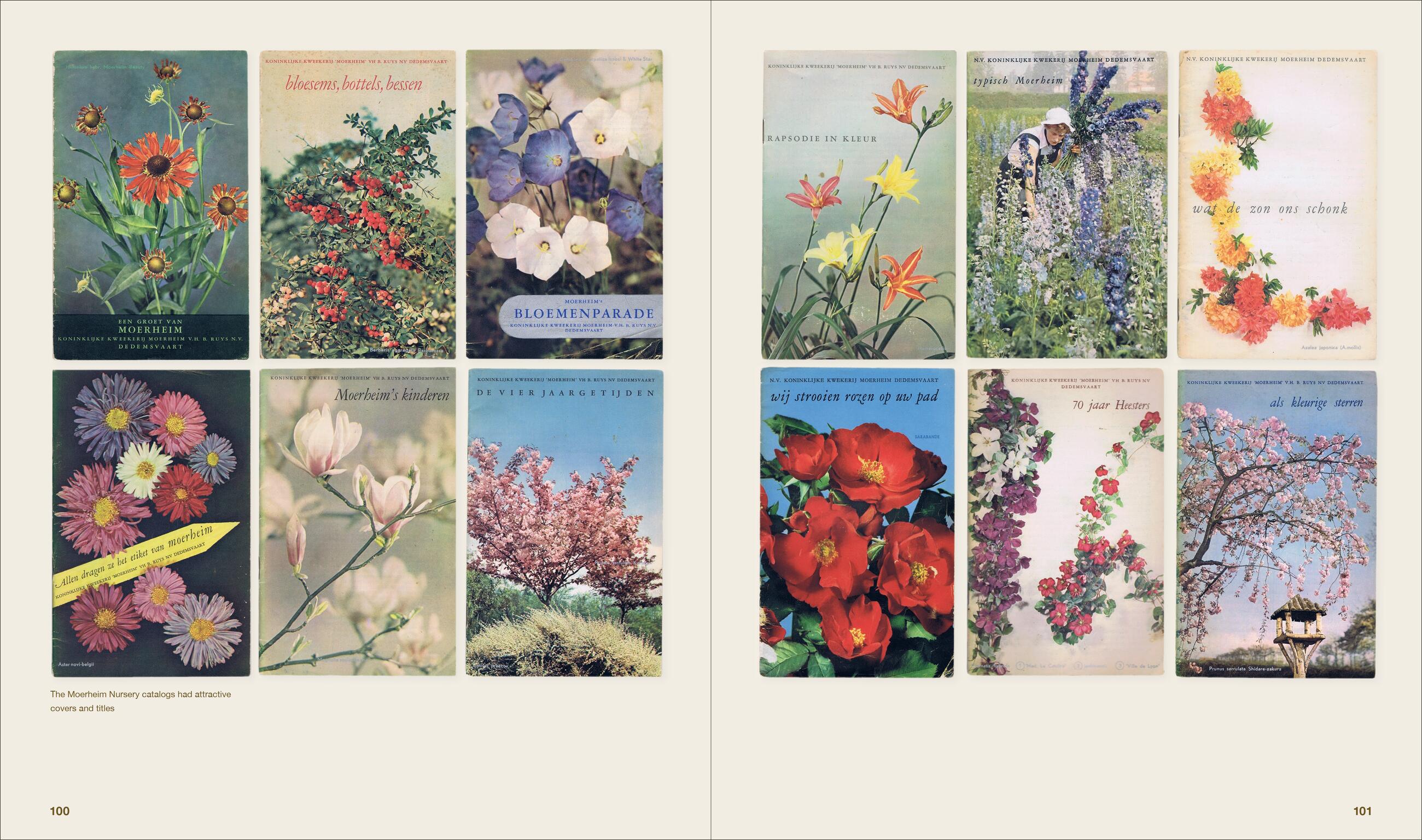 The Gardens of Mien Ruys: Strong Design, Lush Planting, and the Origins ...