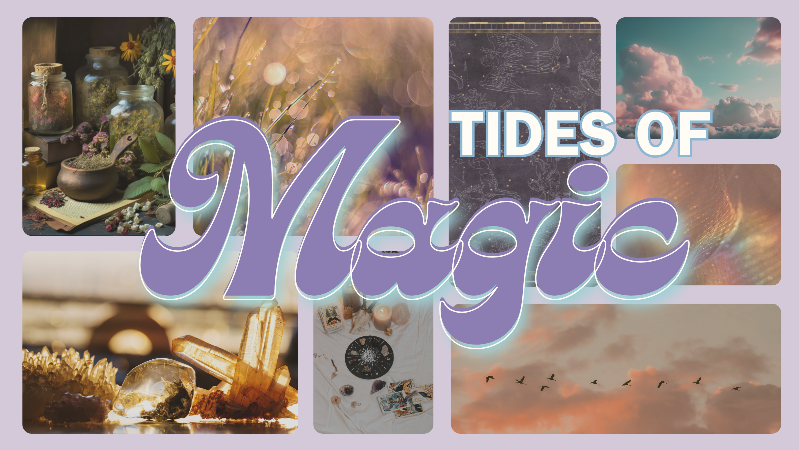 Immersive, Filled with Wonder, and Enchanting | Hachette Book Group