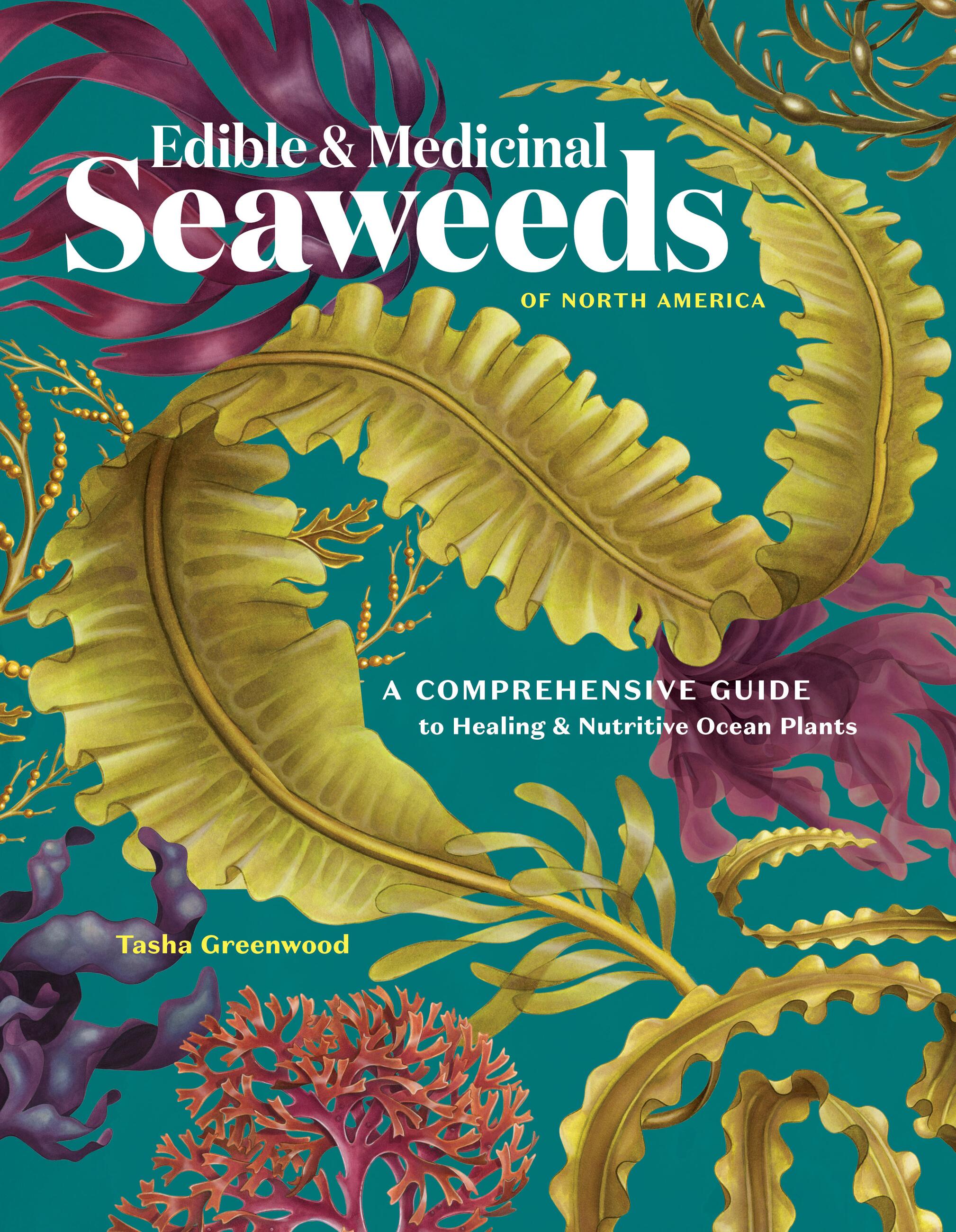 Edible & Medicinal Seaweeds by Tasha Greenwood | Hachette Book Group