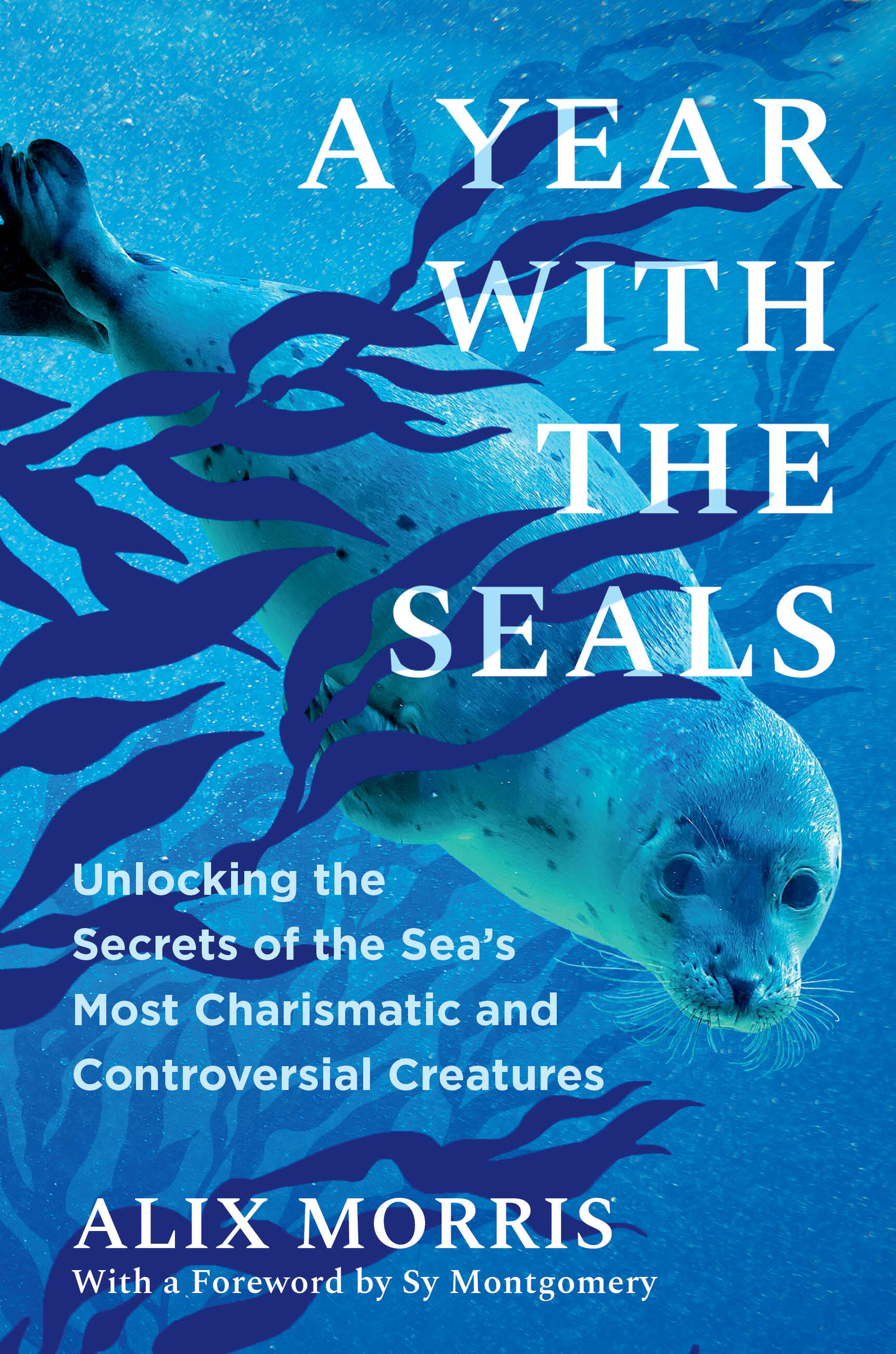 New & Popular Nonfiction Books | Hachette Book Group