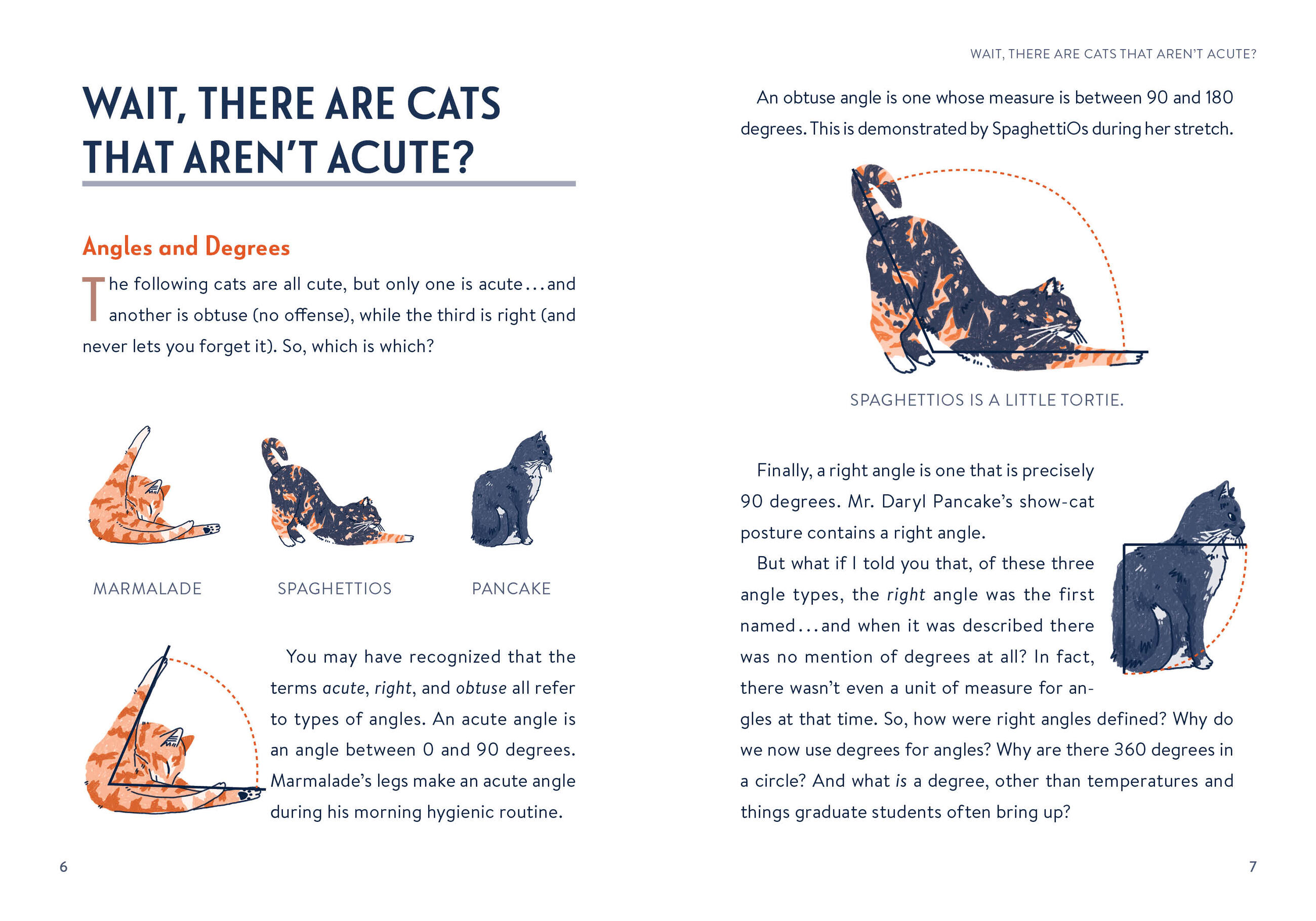 Math Cats by Daniel M Look, PhD | Hachette Book Group