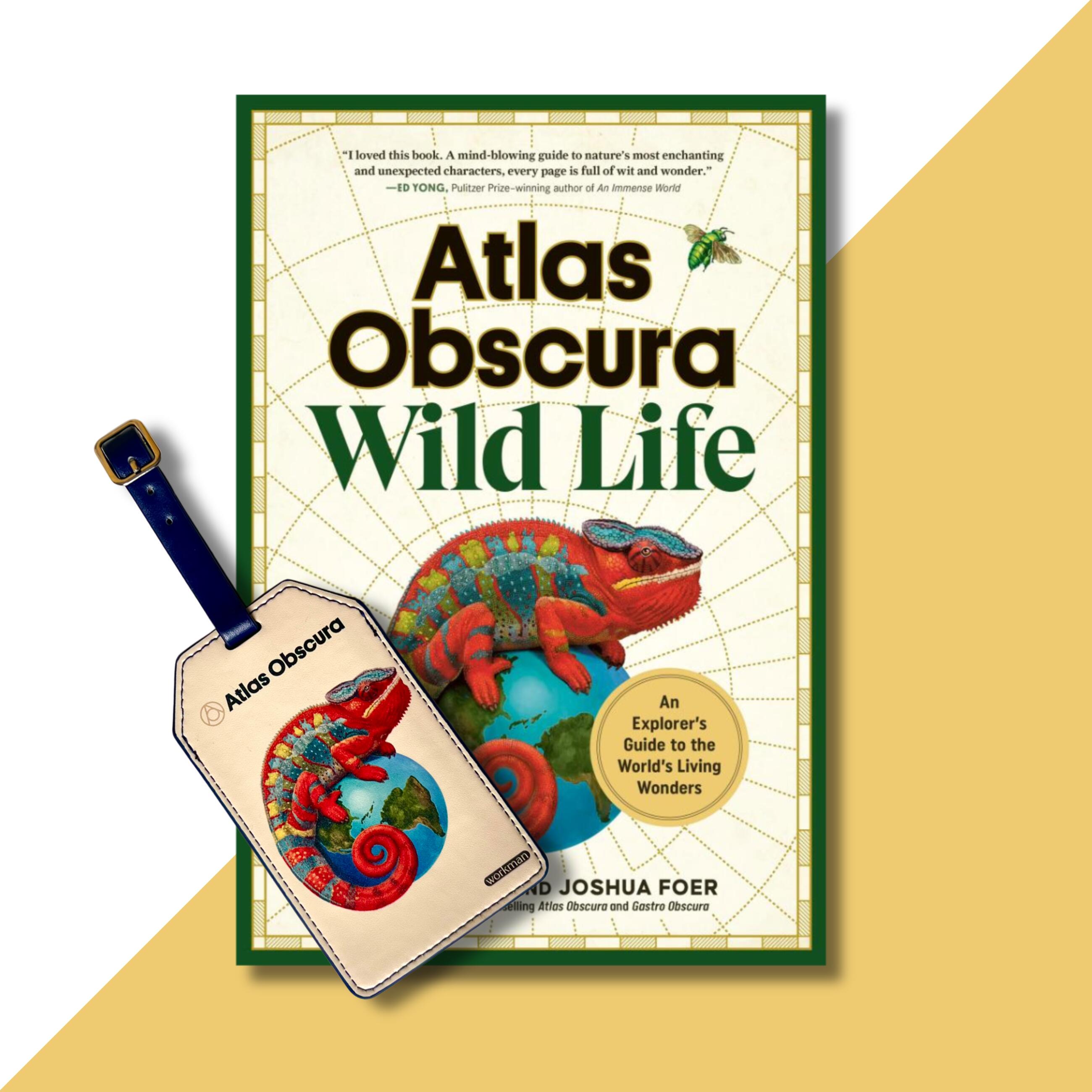 Atlas Obscura | Hachette Book Group