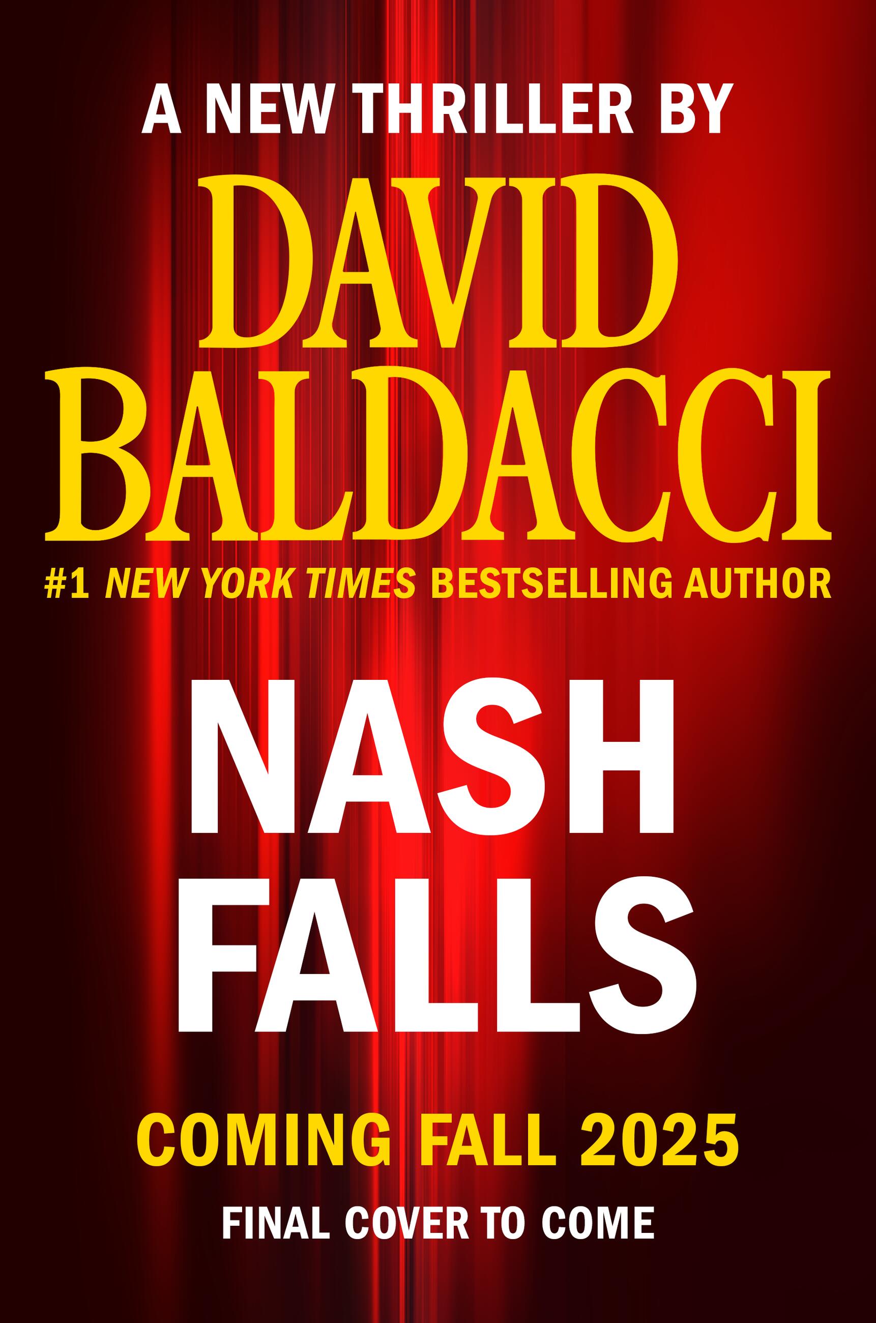 Nash Falls by David Baldacci | Hachette Book Group