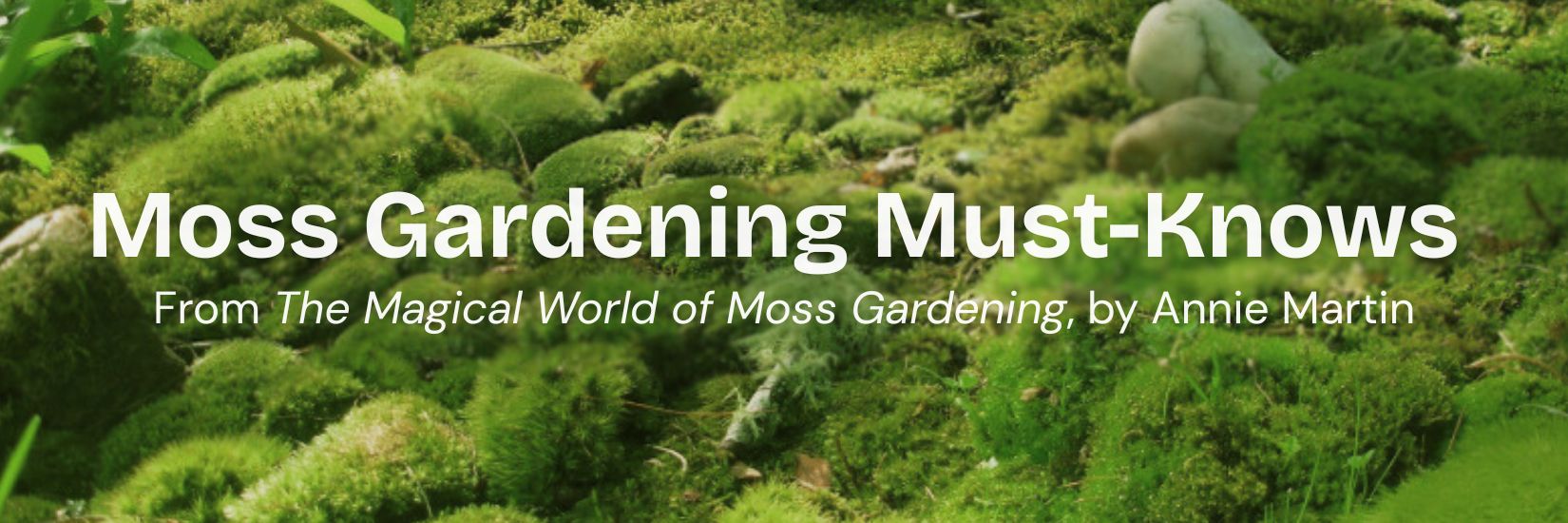 Moss Gardening Must-Knows from The Magical World of Moss Gardening ...