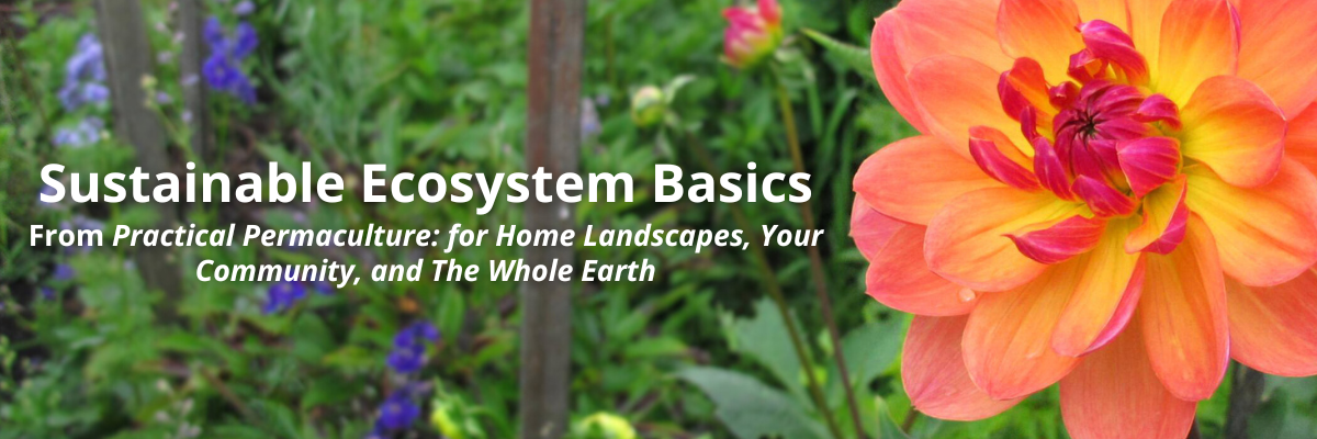 Sustainable Ecosystem Basics | Hachette Book Group