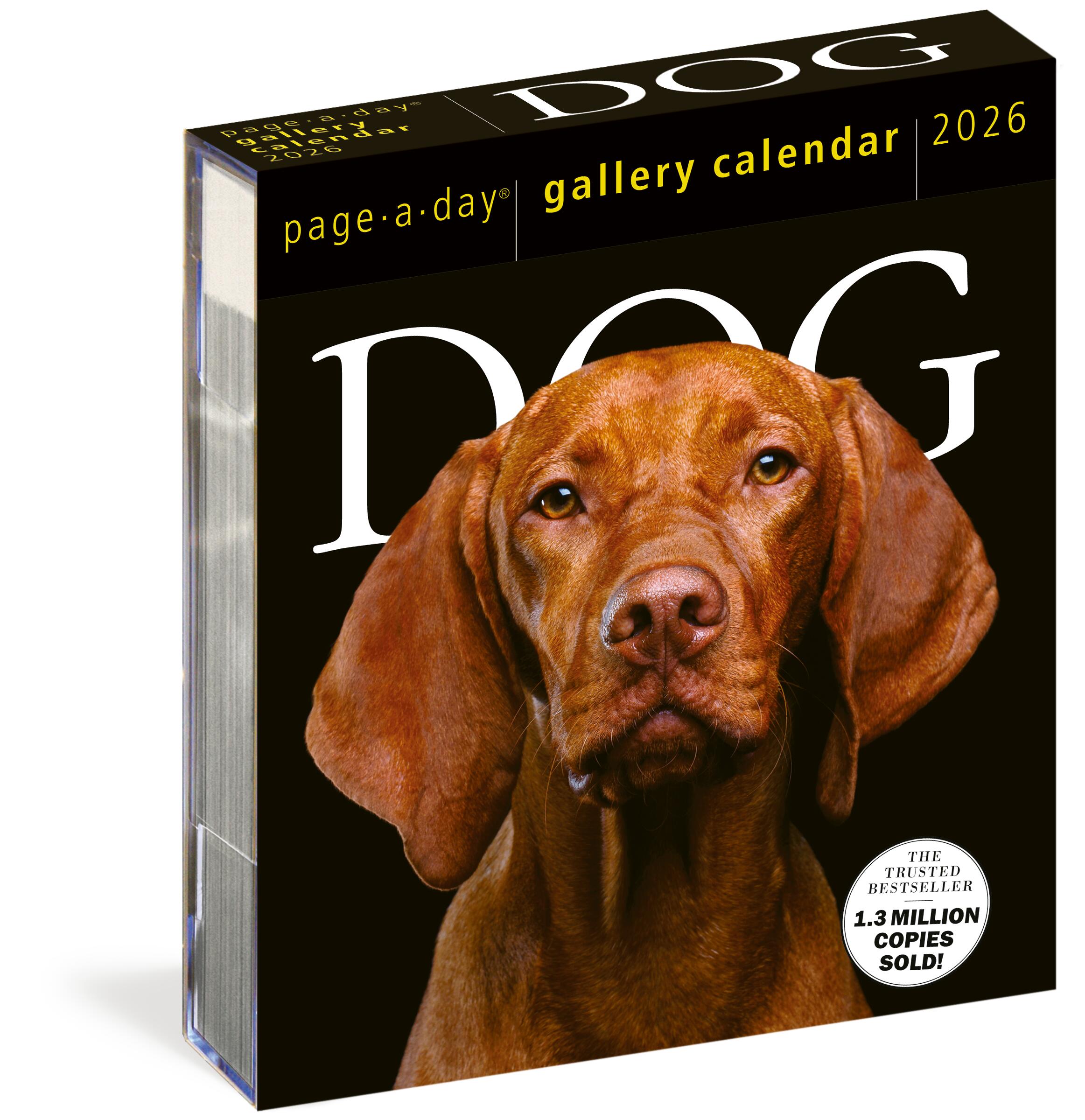 Oogy by Larry Levin | Hachette Book Group