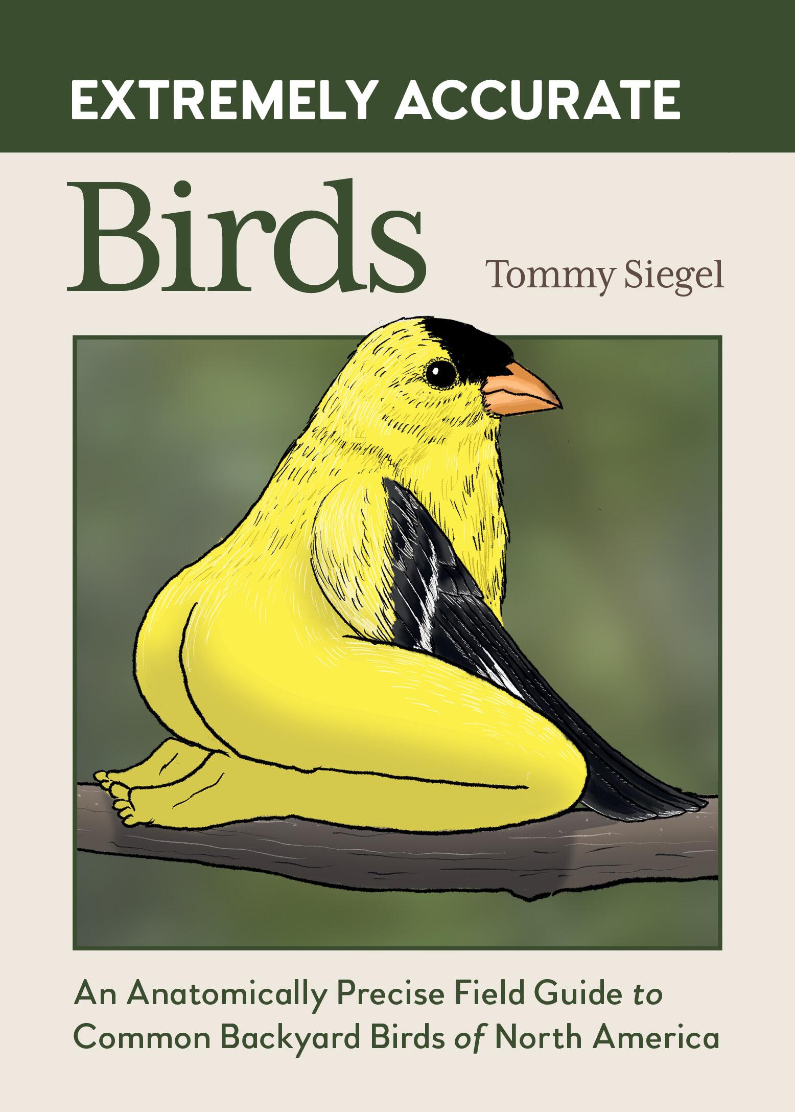 Extremely Accurate Birds by Tommy Siegel | Hachette Book Group