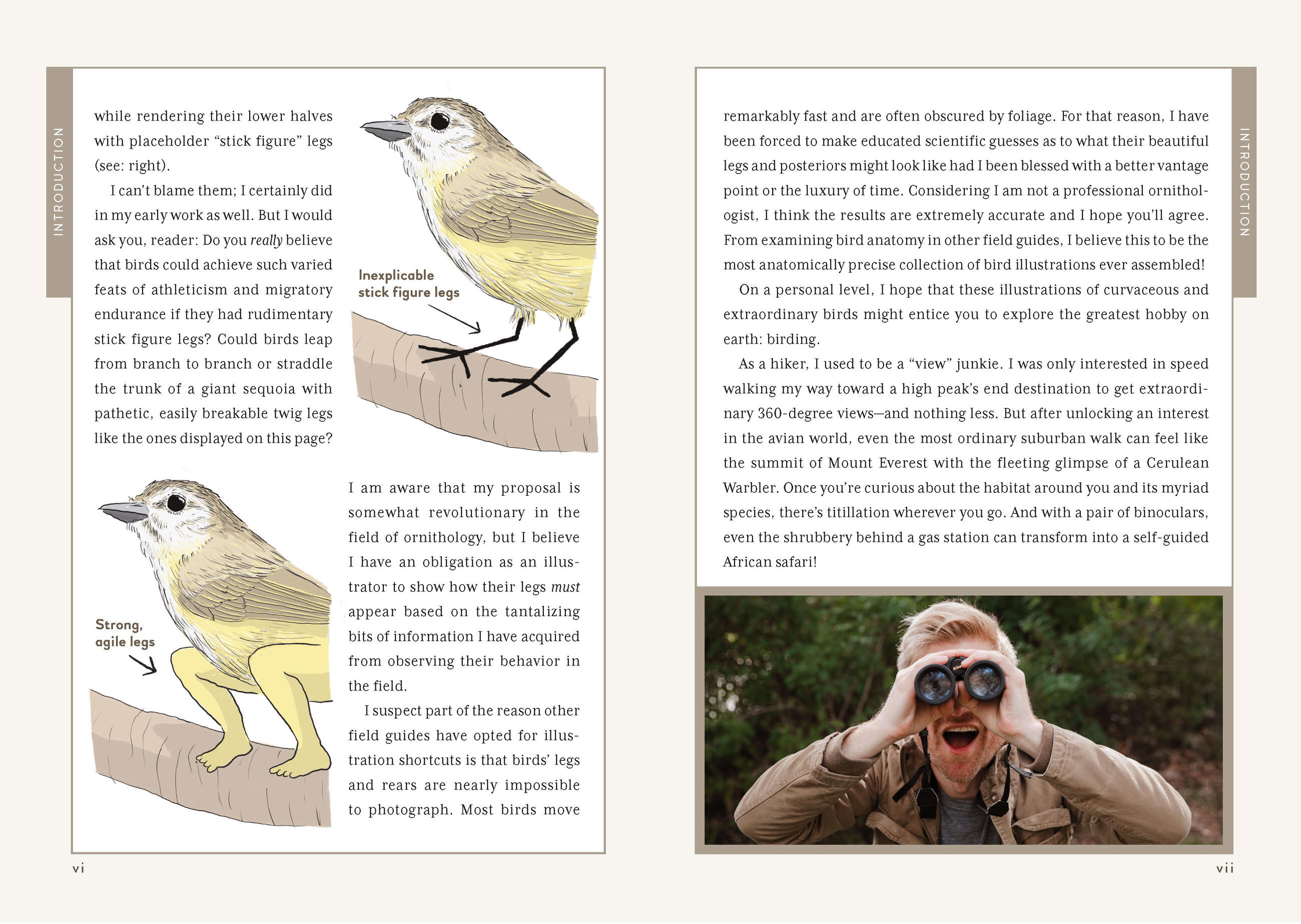 Extremely Accurate Birds by Tommy Siegel | Hachette Book Group