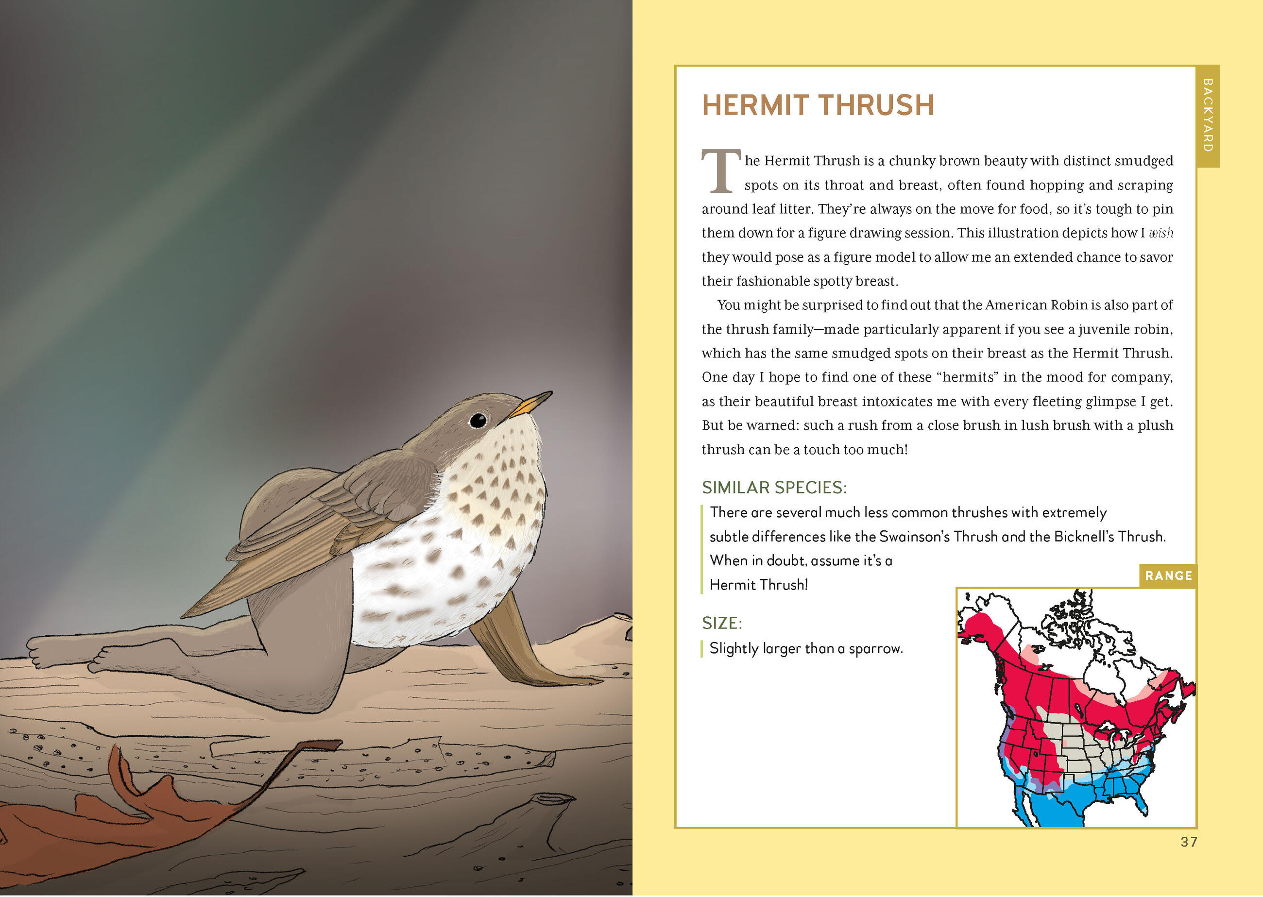 Extremely Accurate Birds by Tommy Siegel | Hachette Book Group