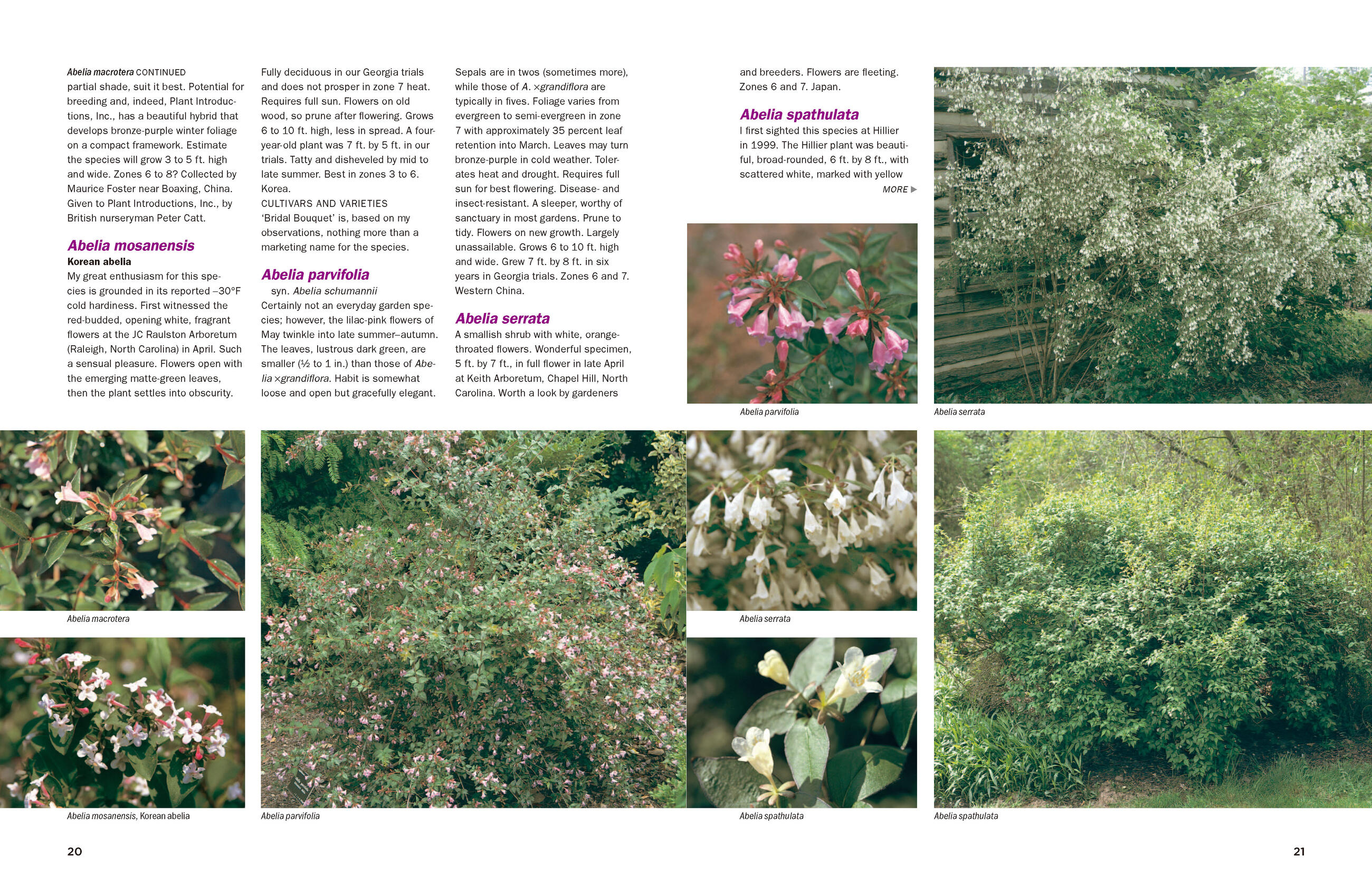 Dirr’s Encyclopedia of Trees and Shrubs by Michael A. Dirr | Hachette ...