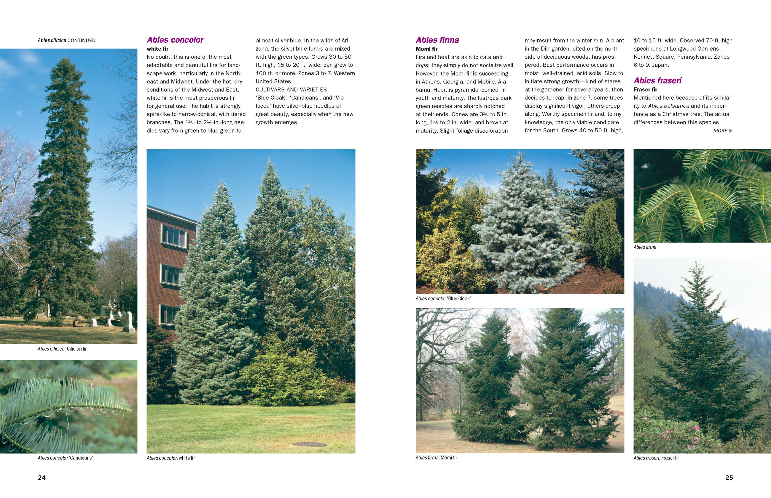 Dirr’s Encyclopedia of Trees and Shrubs by Michael A. Dirr | Hachette ...