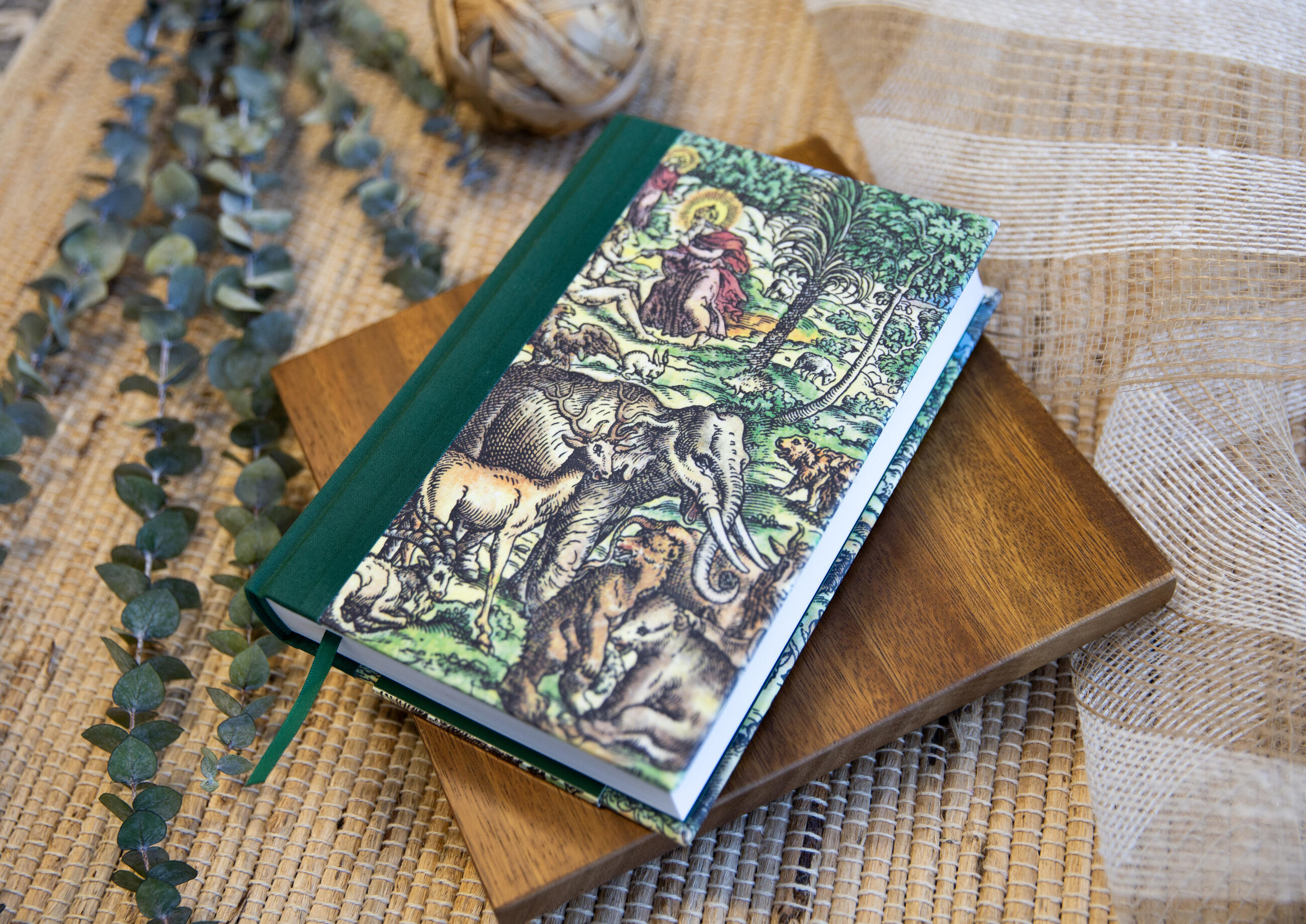 KJV Majestic Illuminated Bible by FaithWords | Hachette Book Group