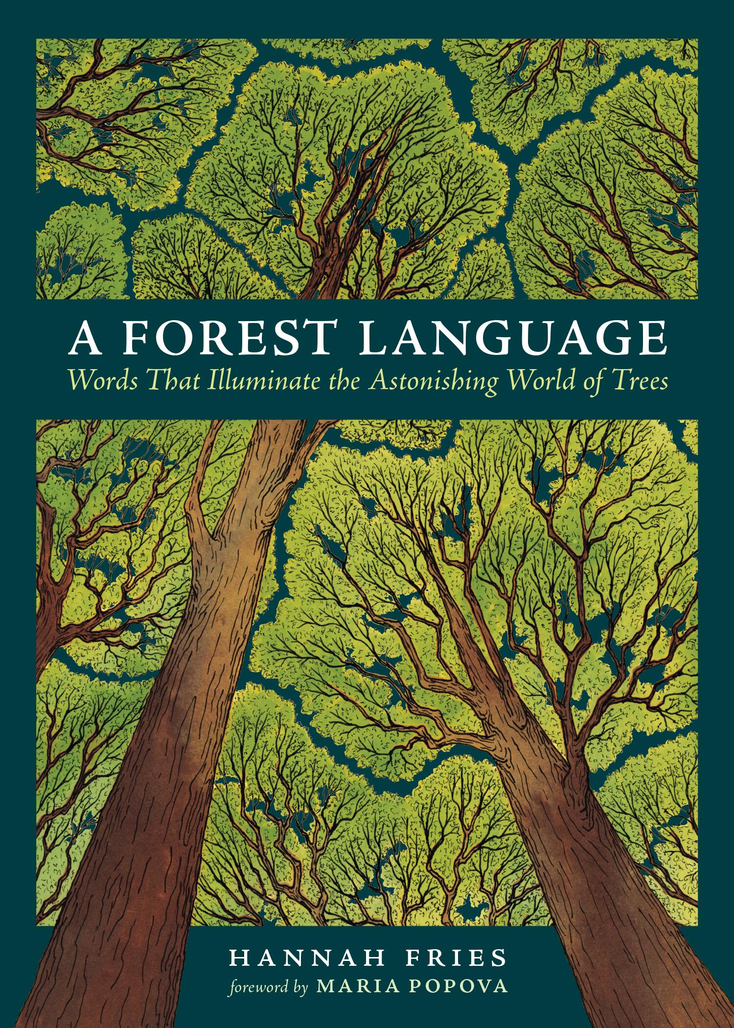 A Forest Language by Hannah Fries & Maria Popova | Hachette Book Group