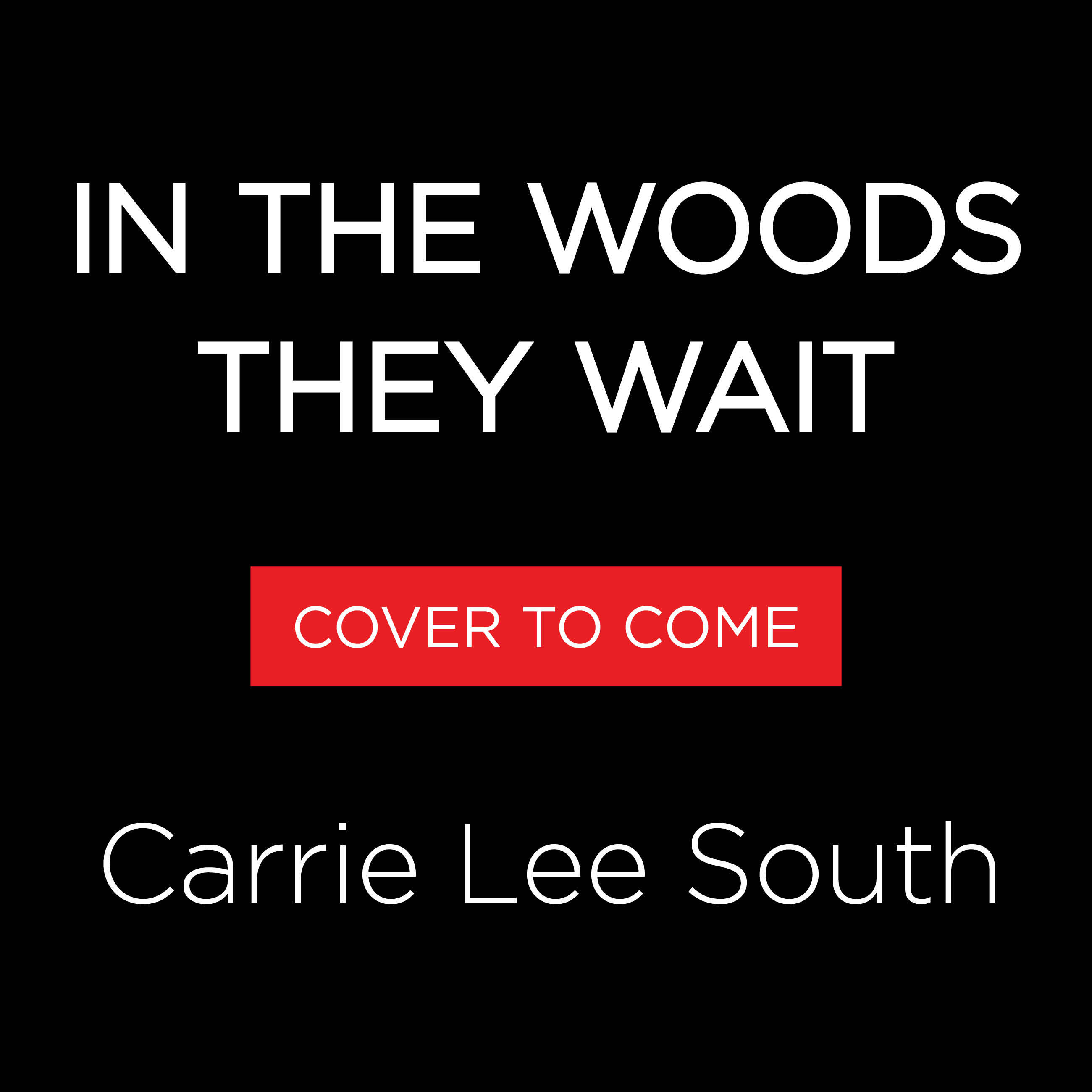 In the Woods They Wait by Carrie Lee South | Hachette Book Group