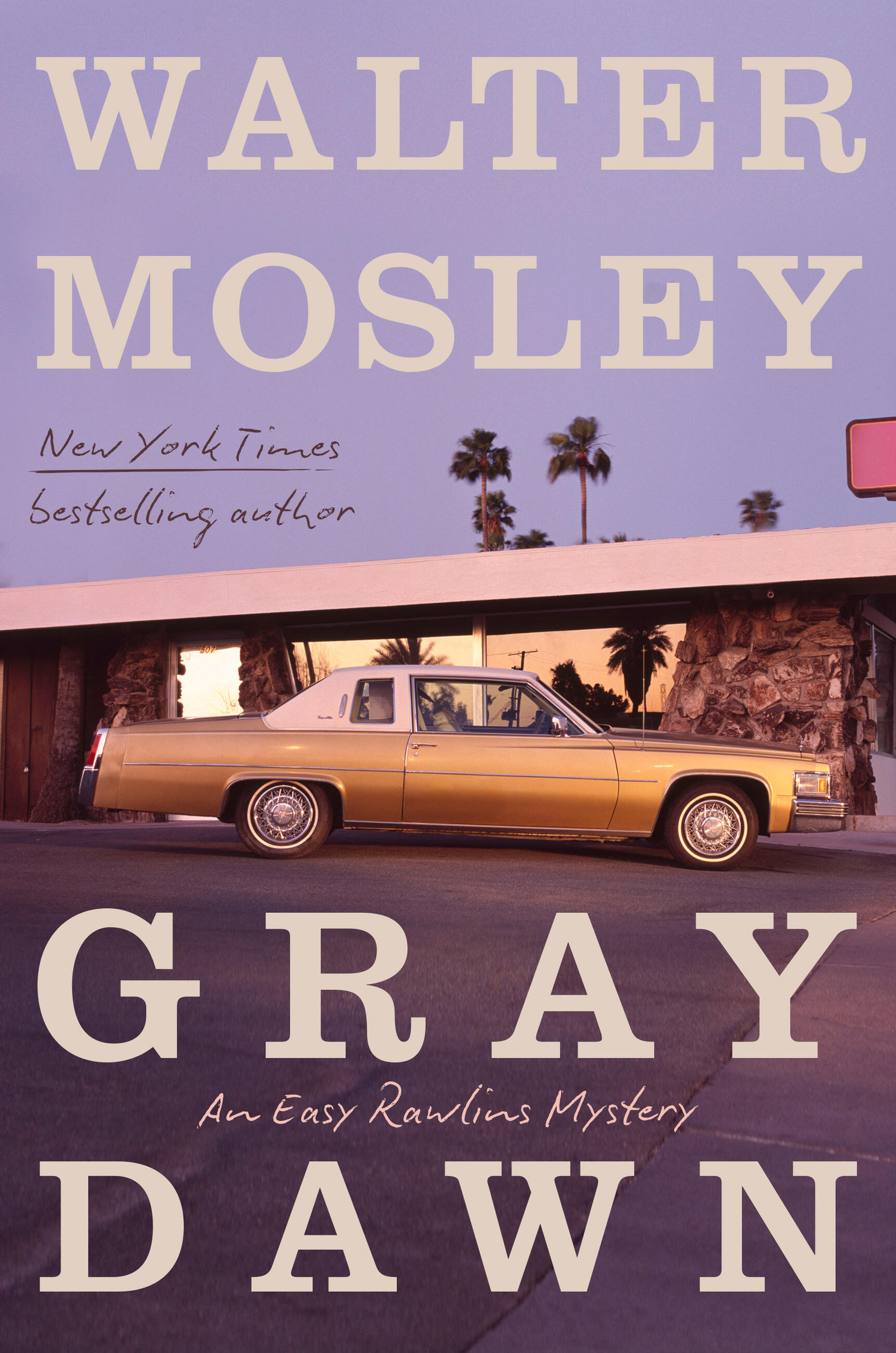 Gray Dawn by Walter Mosley | Hachette Book Group