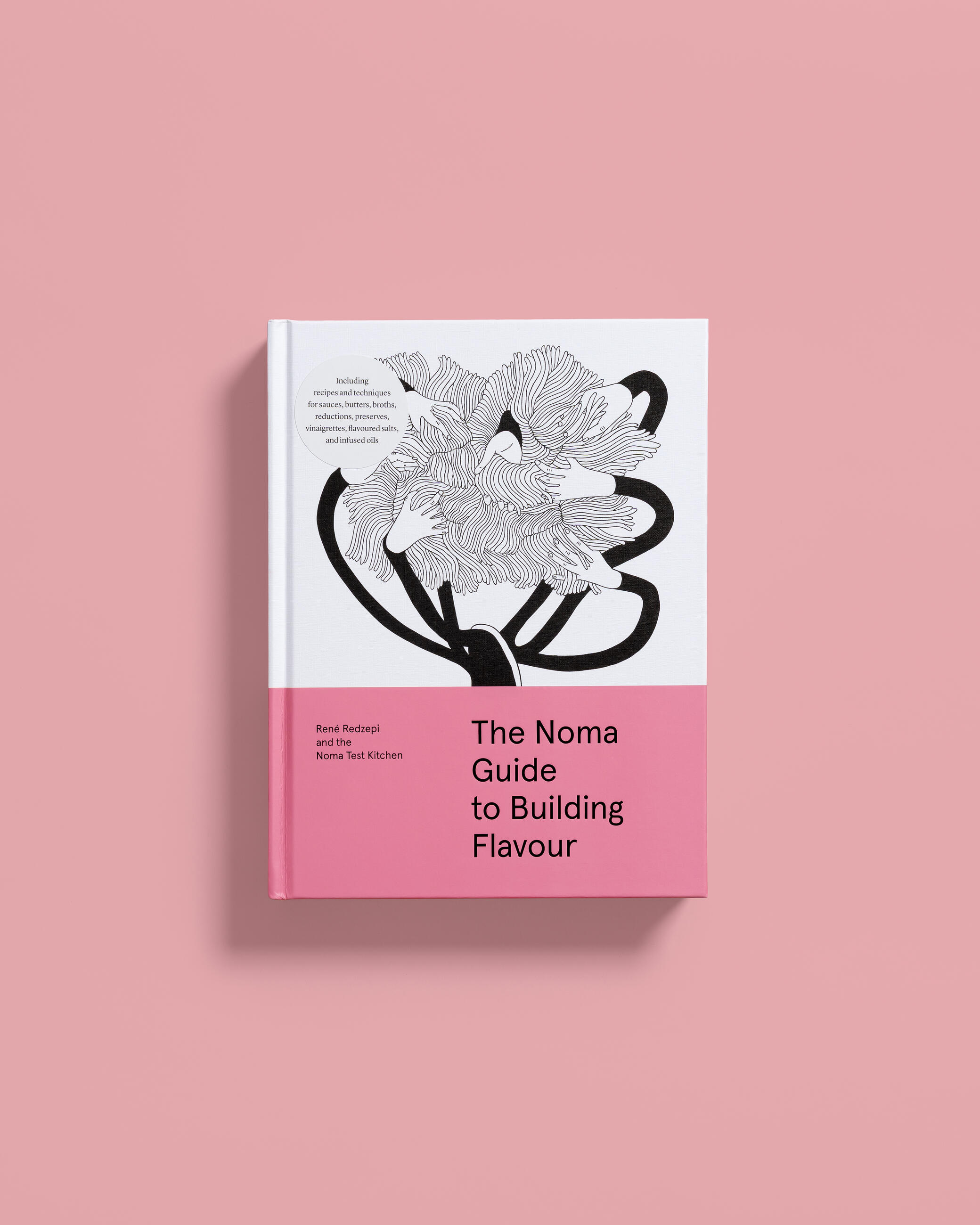 The Noma Guide to Building Flavour by René Redzepi & Noma Test Kitchen ...