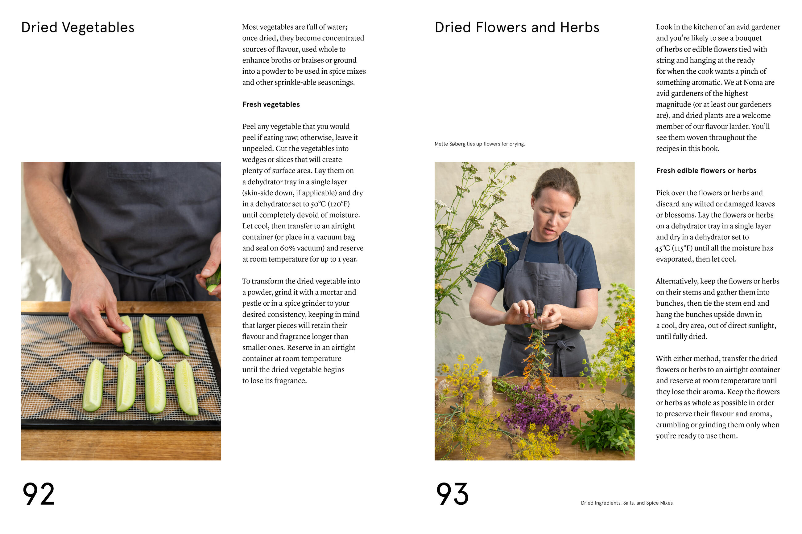 The Noma Guide to Building Flavour by René Redzepi & Noma Test Kitchen ...