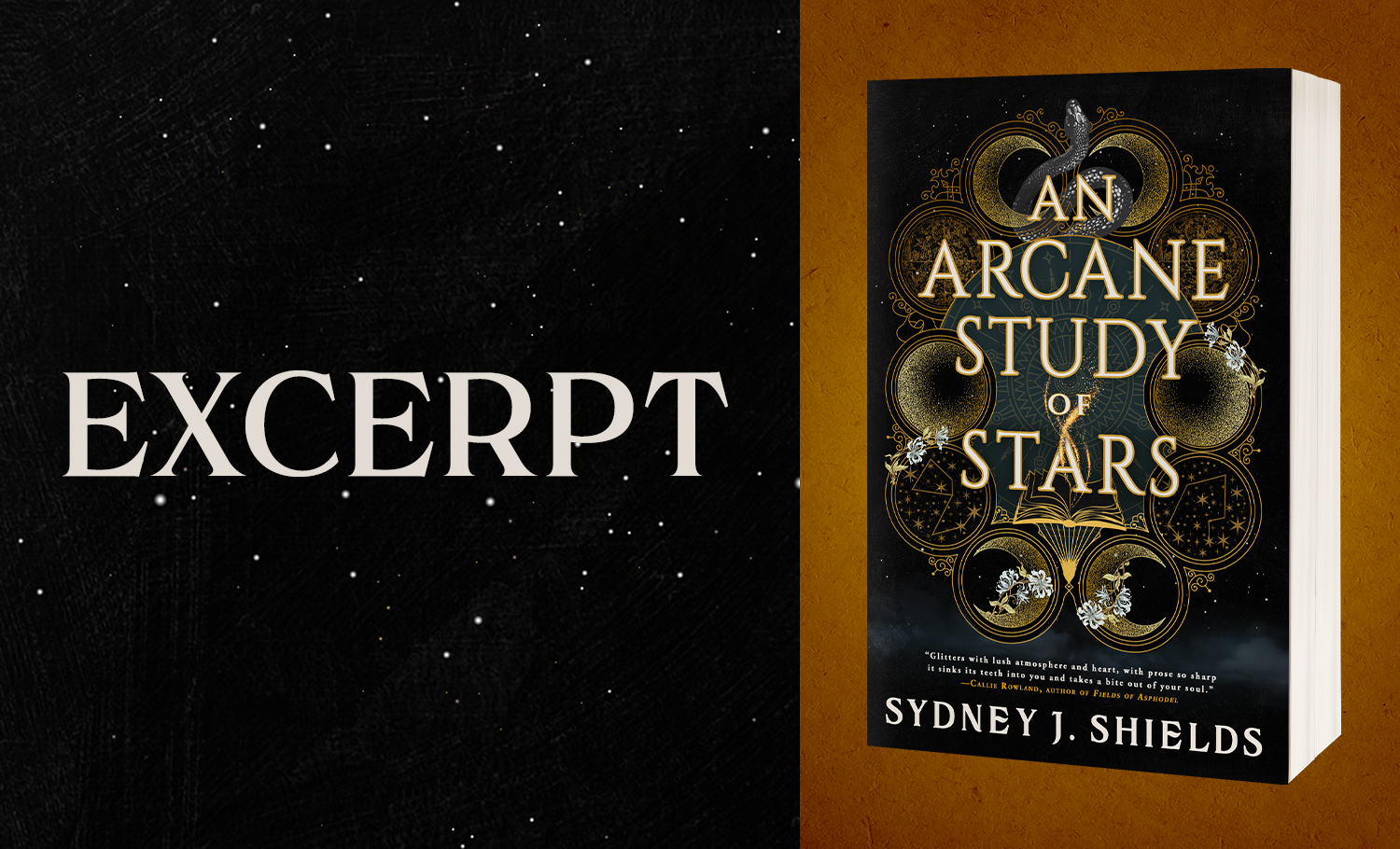 An Arcane Study of Stars | Hachette Book Group