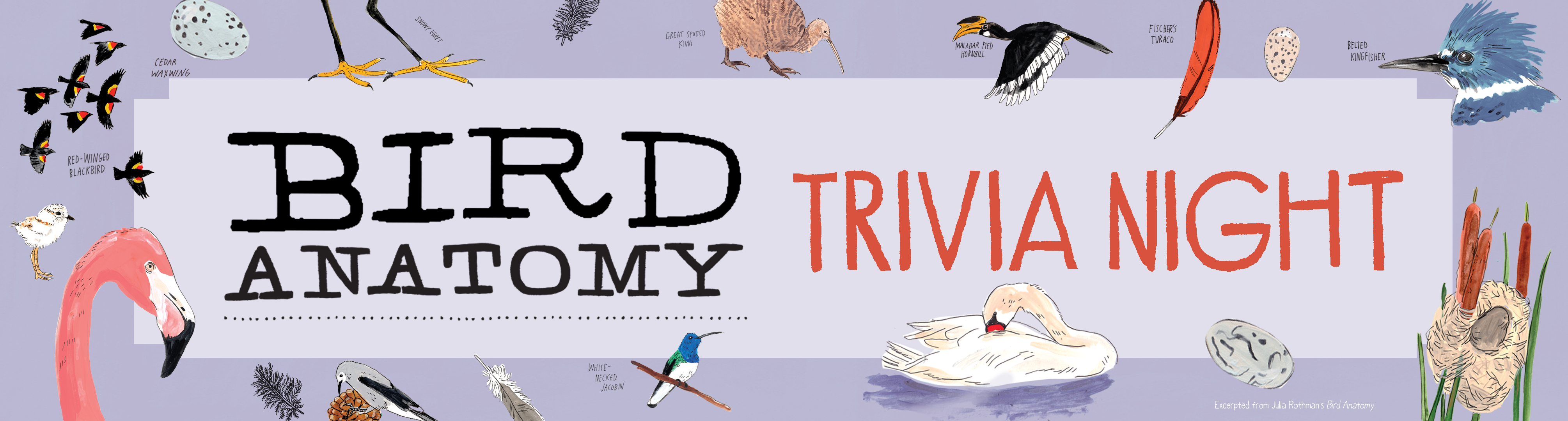 Storey – Julia Rothman Bird Anatomy Trivia | Hachette Book Group