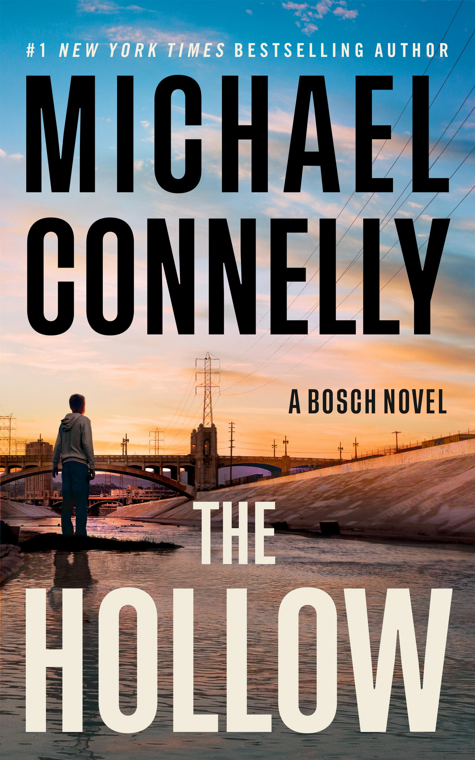 The Hollow by Michael Connelly | Hachette Book Group