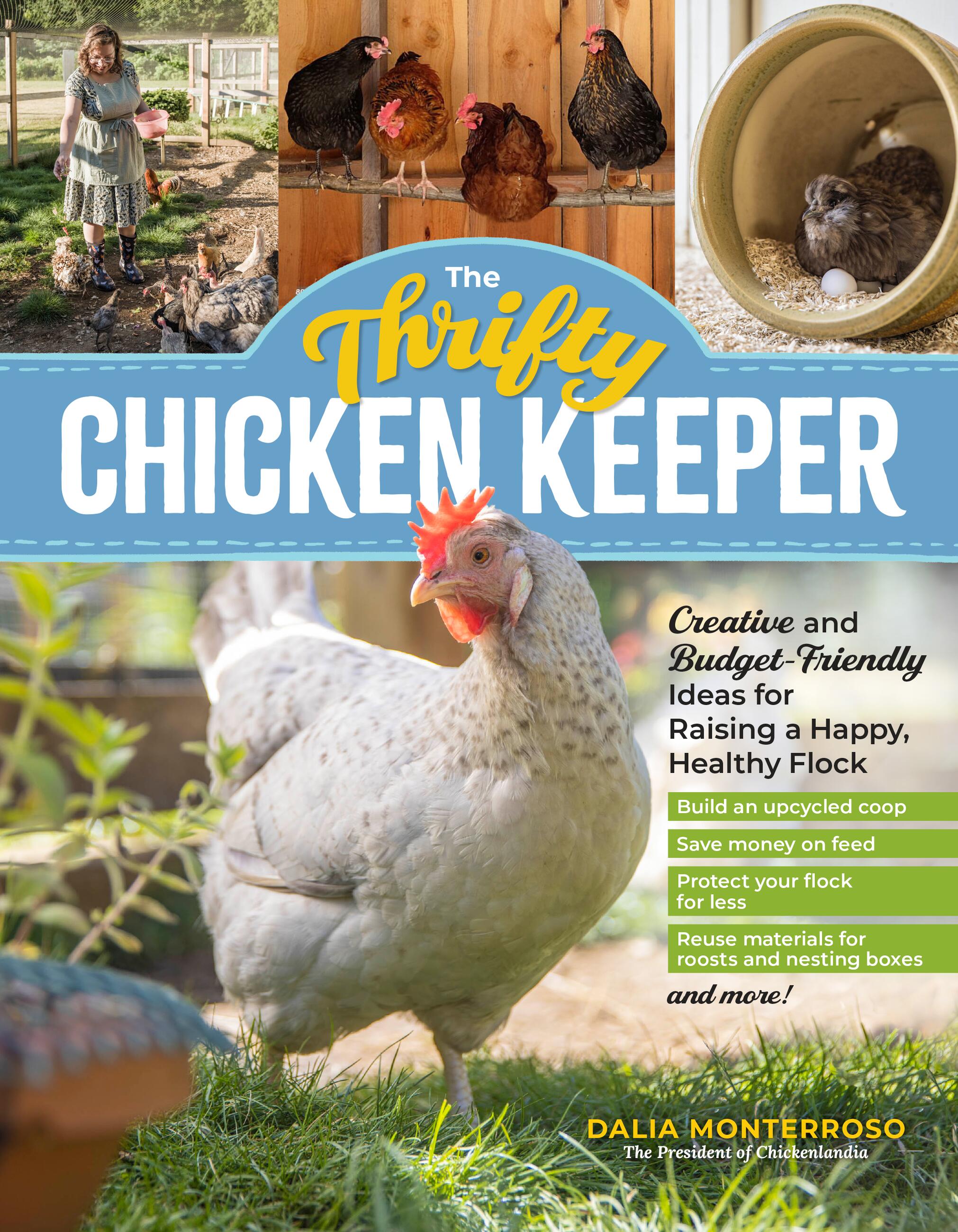 The Thrifty Chicken Keeper by Dalia Monterroso | Hachette Book Group